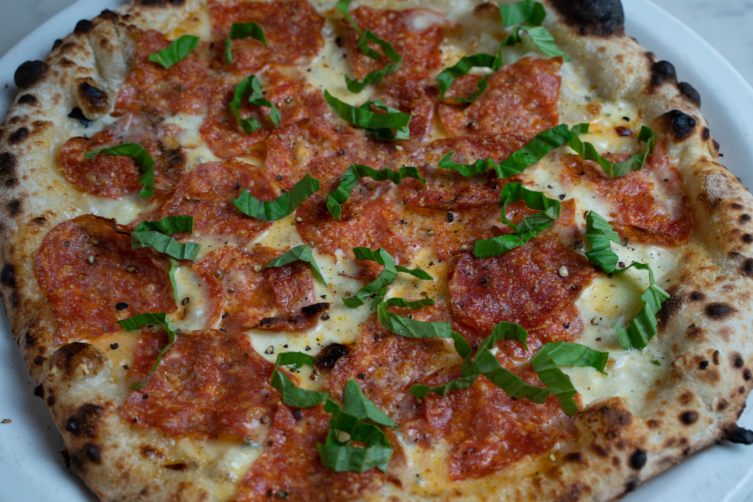 Tricolore - 900 Degrees Wood-Fired Pizzeria